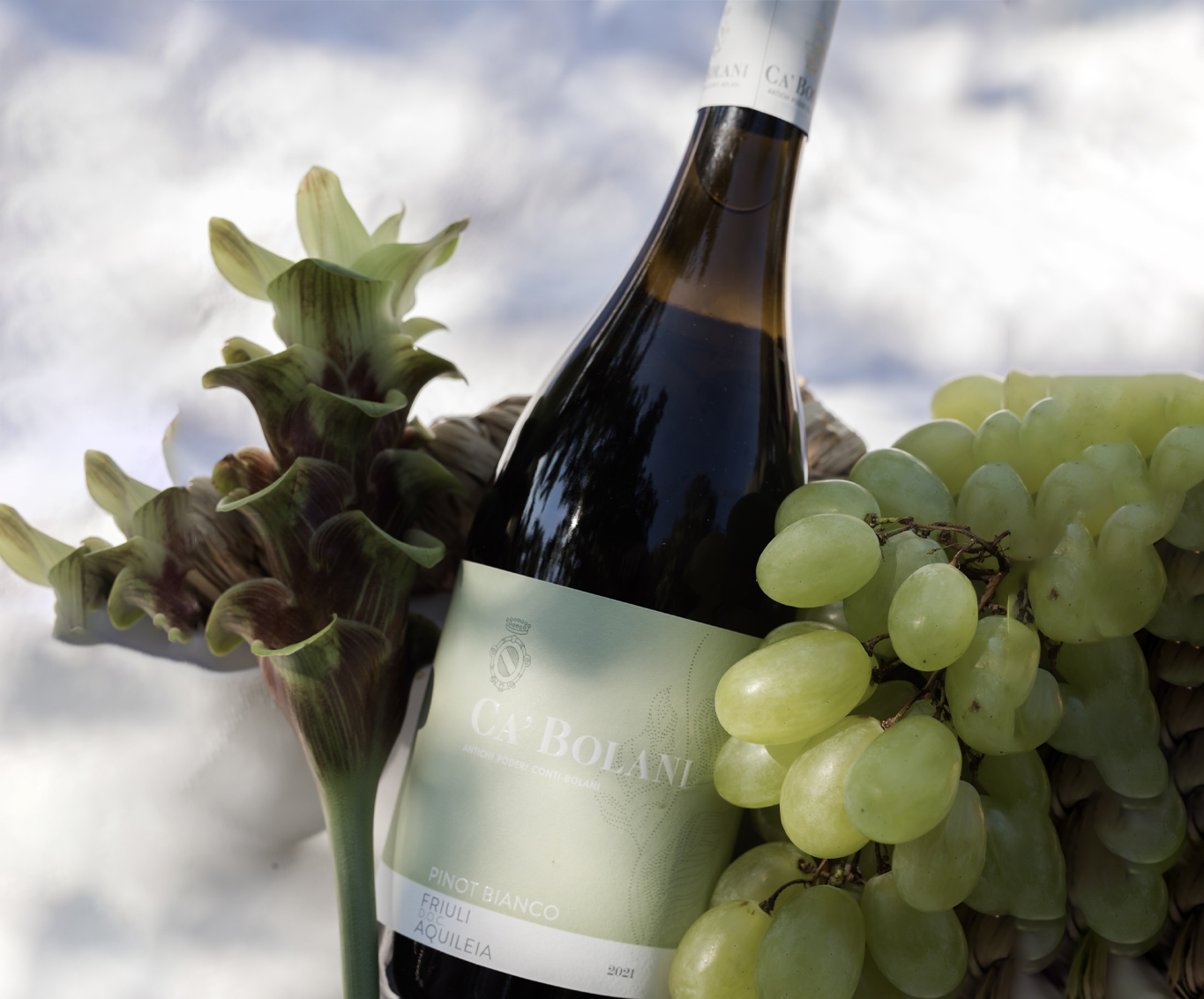 PINOT BIANCO 2021 - Ca'Bolani PINOT BIANCO 2021 - Ca'Bolani